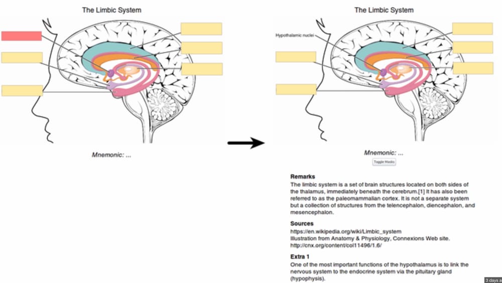 Must Have Anki Add-ons - A Young Doctor's Journey